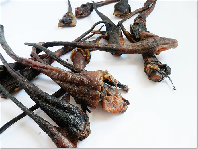 Wild Boar Tails – K9 Prime Cuts